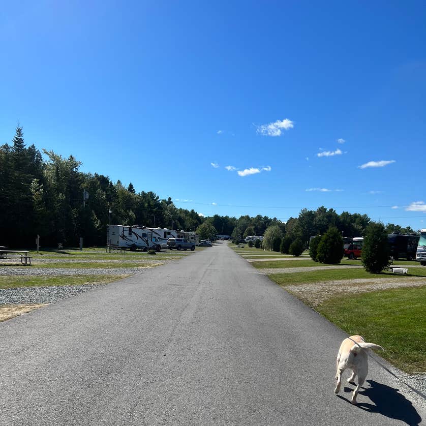 Timberland Acres RV Park | Lamoine, Maine