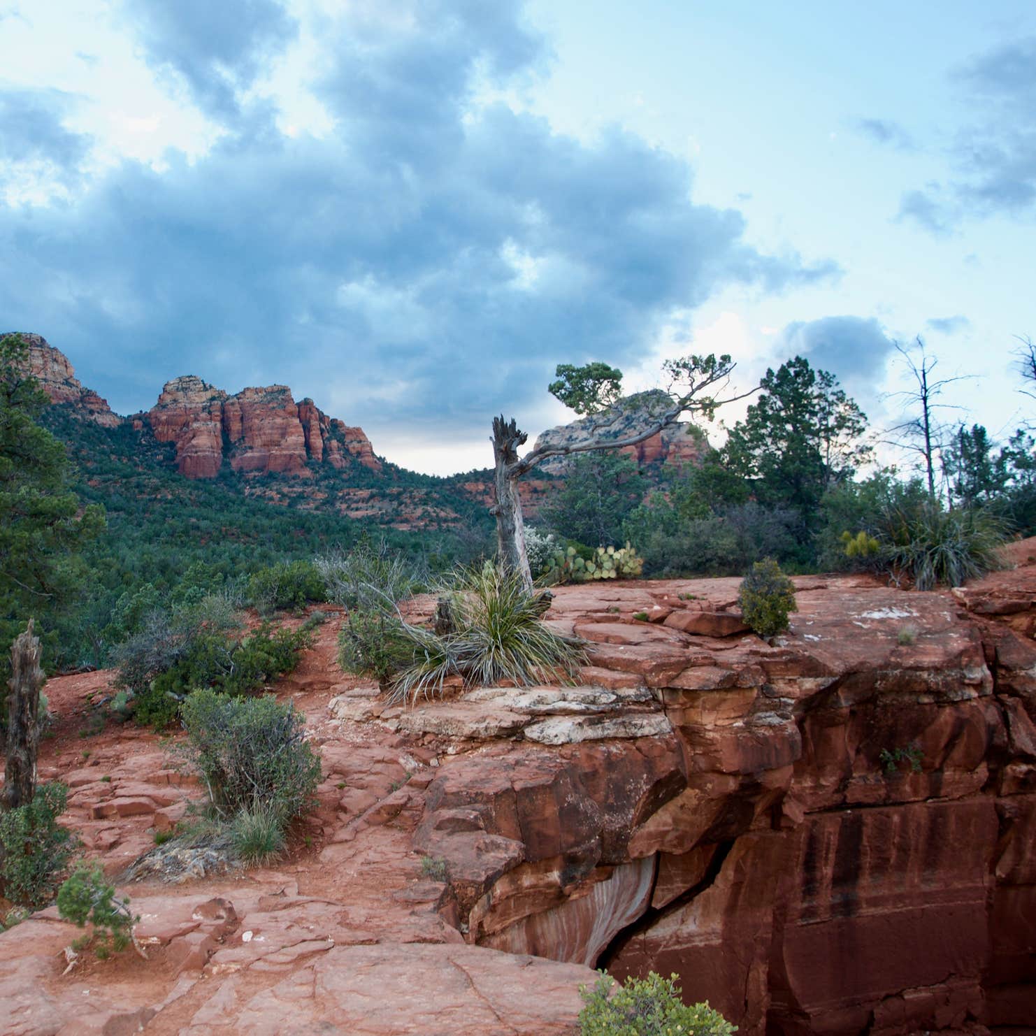 Schnebly Hill Road (FR153) Dispersed Camping | Sedona, AZ | The Dyrt