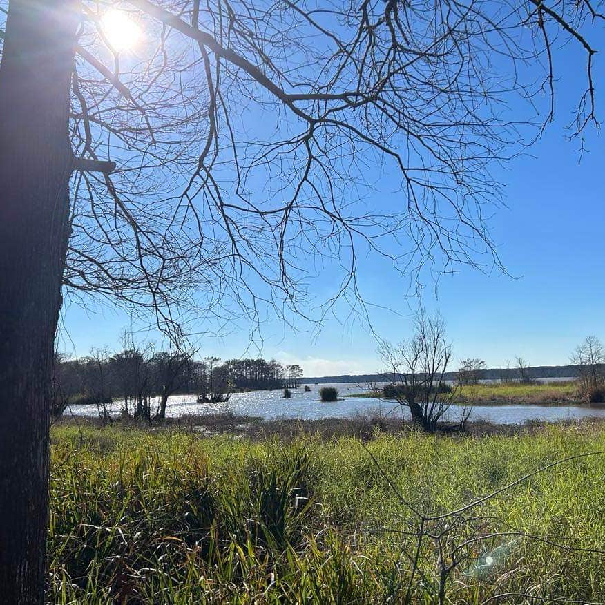 Lake Fausse Pointe State Park Campground | New Iberia, Louisiana