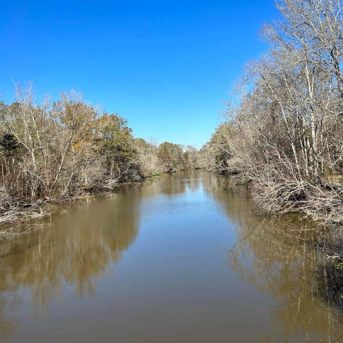 Lake Fausse Pointe State Park Campground | New Iberia, Louisiana