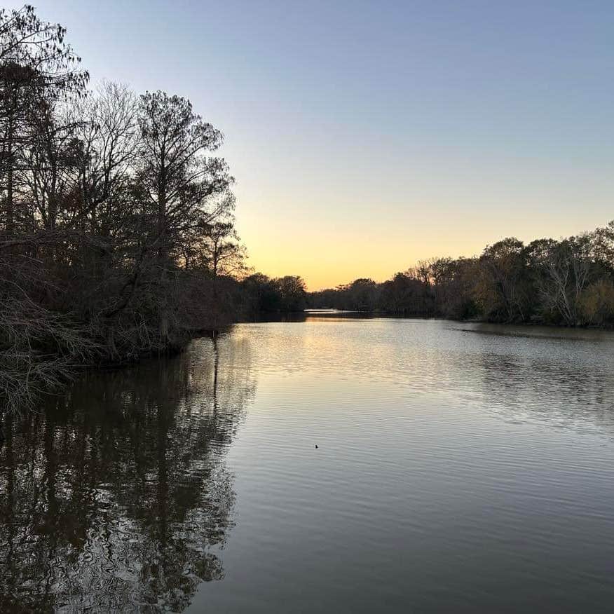 Lake Fausse Pointe State Park Campground | New Iberia, Louisiana