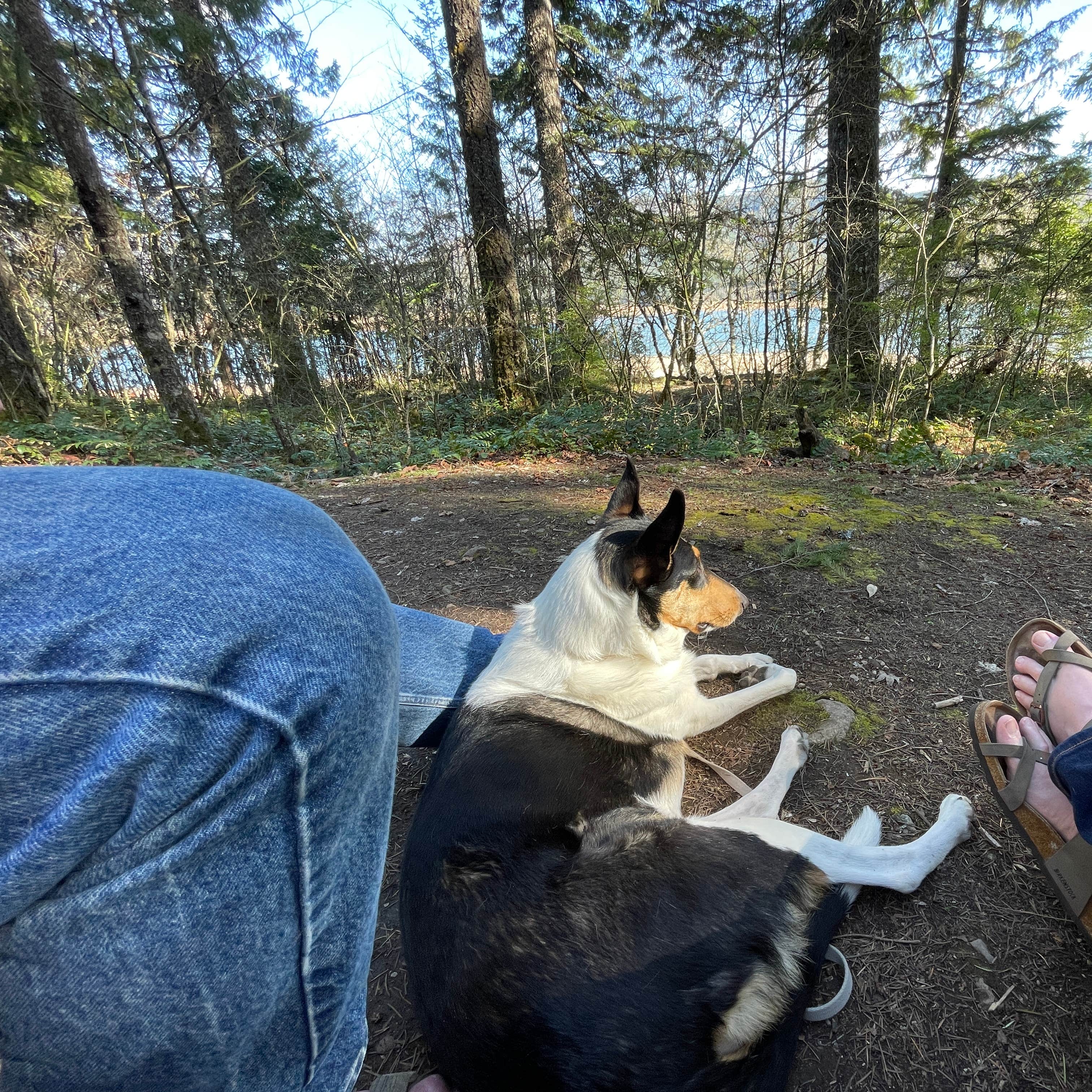 Detroit Lake State Recreation Area Campground | Detroit, Oregon