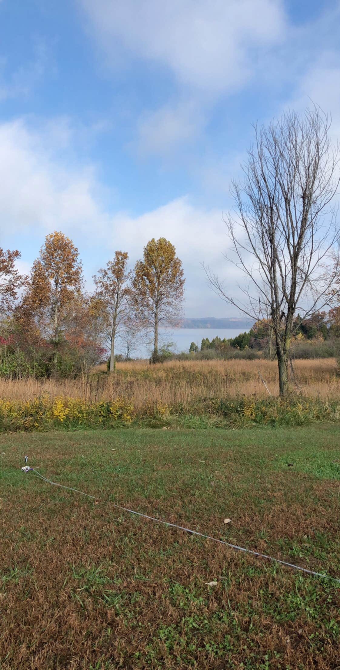 Patoka Lake Campground | The Dyrt