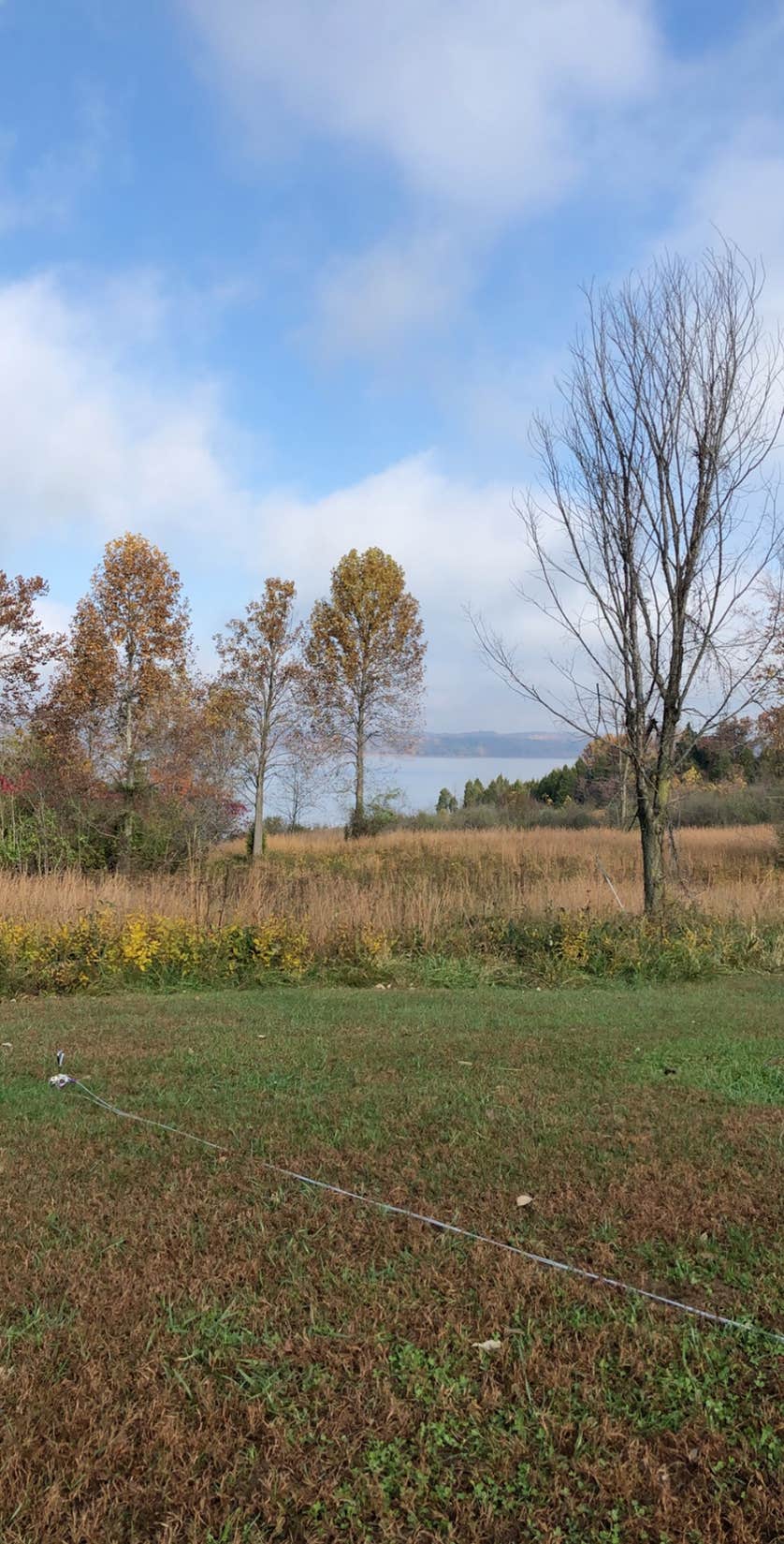 Patoka Lake Campground | The Dyrt