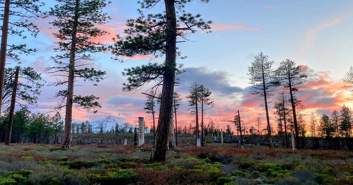 FS Rd 1514 Dispersed camping | Sisters, Oregon