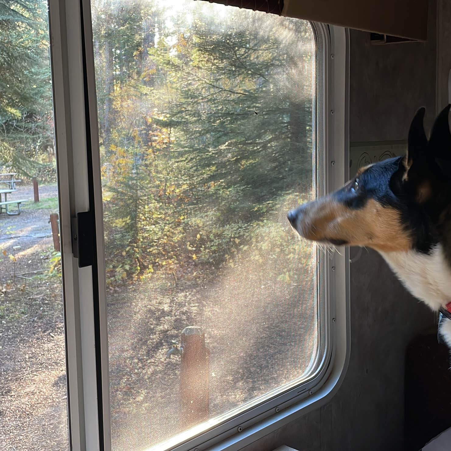 Emigrant Springs State Heritage Area Camping | Meacham, Oregon