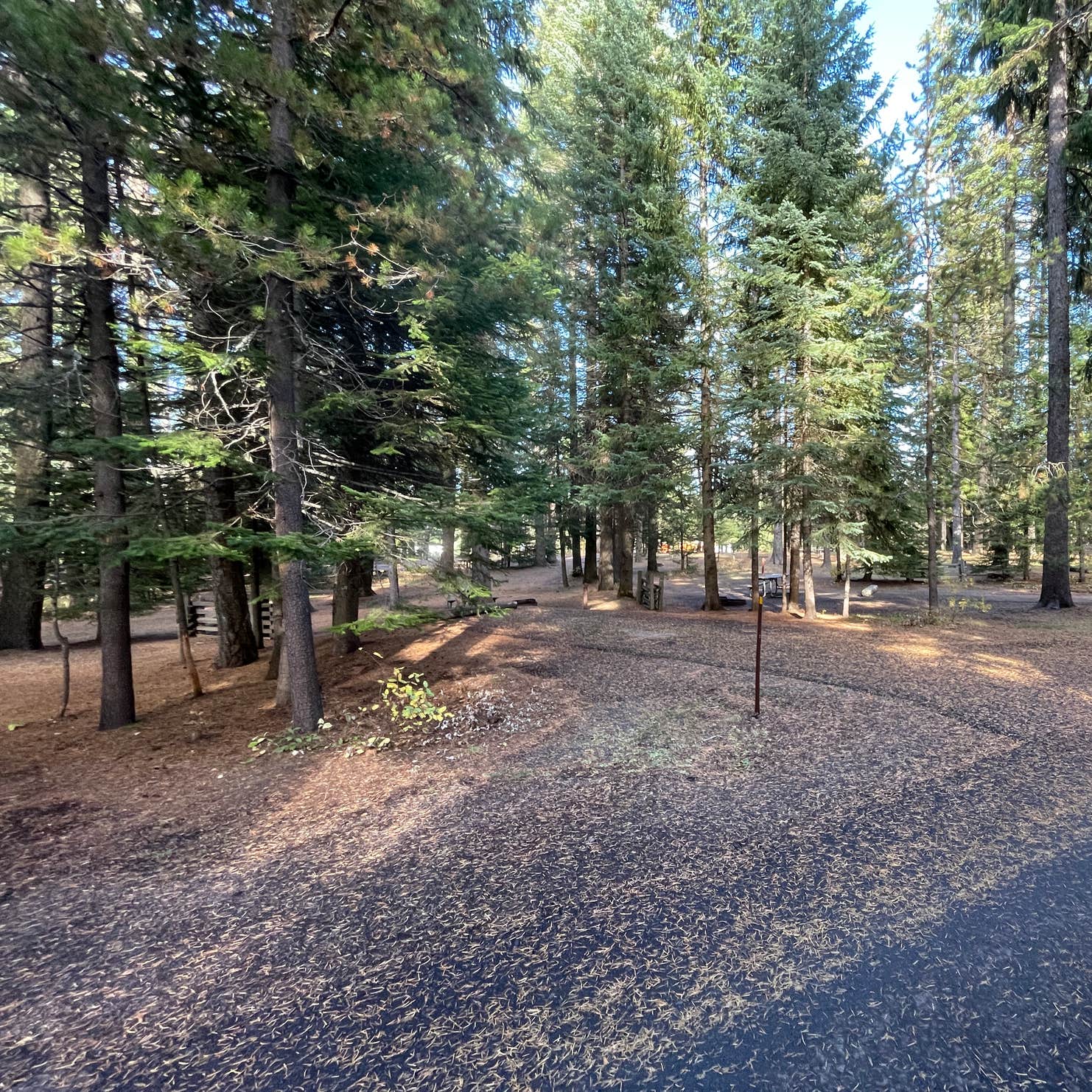 Emigrant Springs State Heritage Area Camping | Meacham, OR