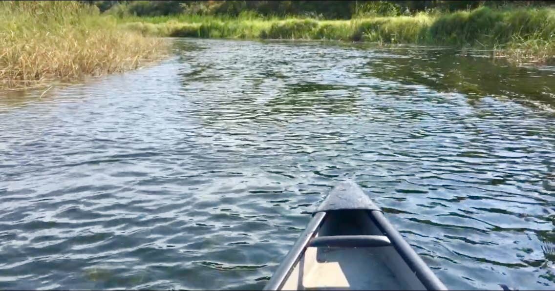 Fox Trap Canoe Campsite | Bemidji, MN