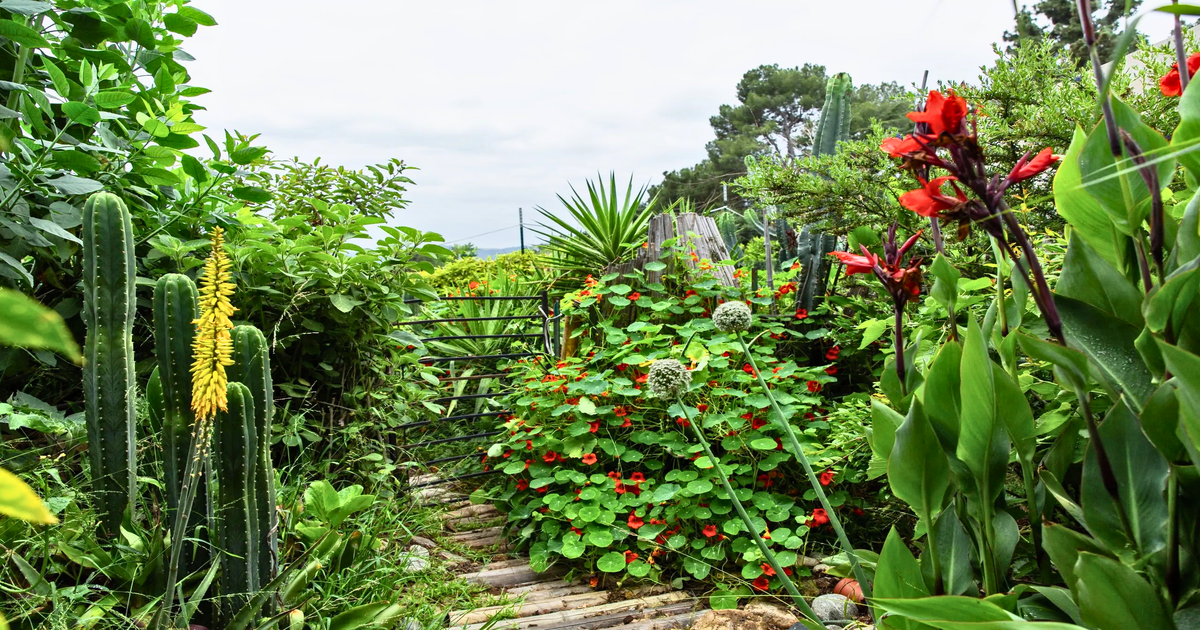 Camp at the Historic Zorthian Ranch | Altadena, CA