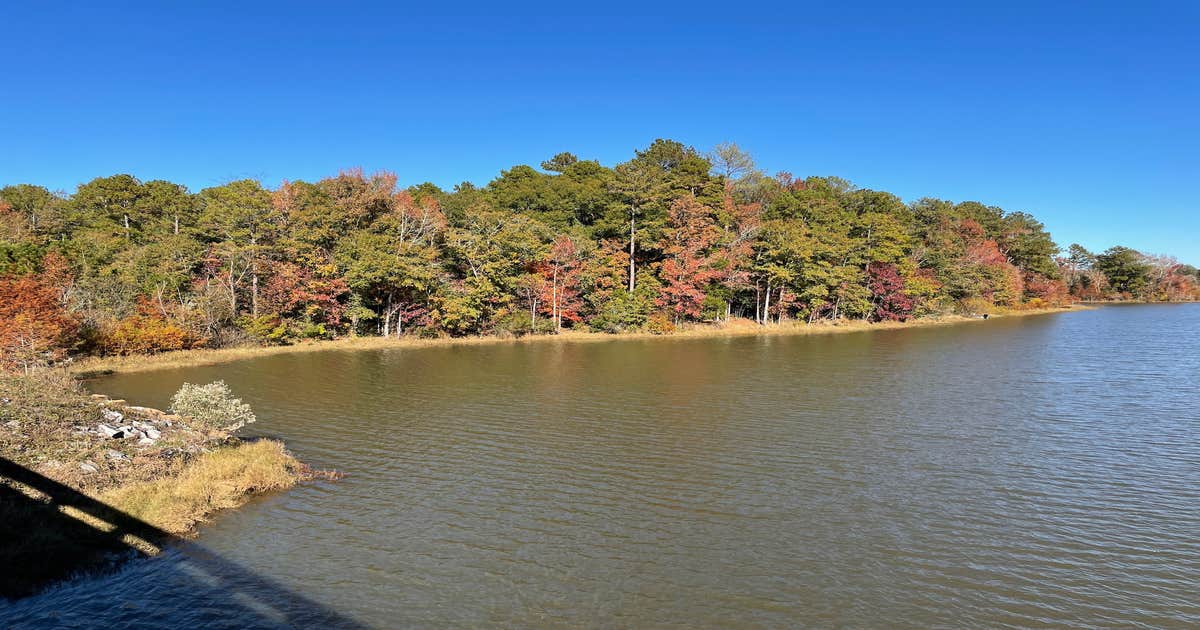 Pataula Creek RV | Fort Gaines, Georgia