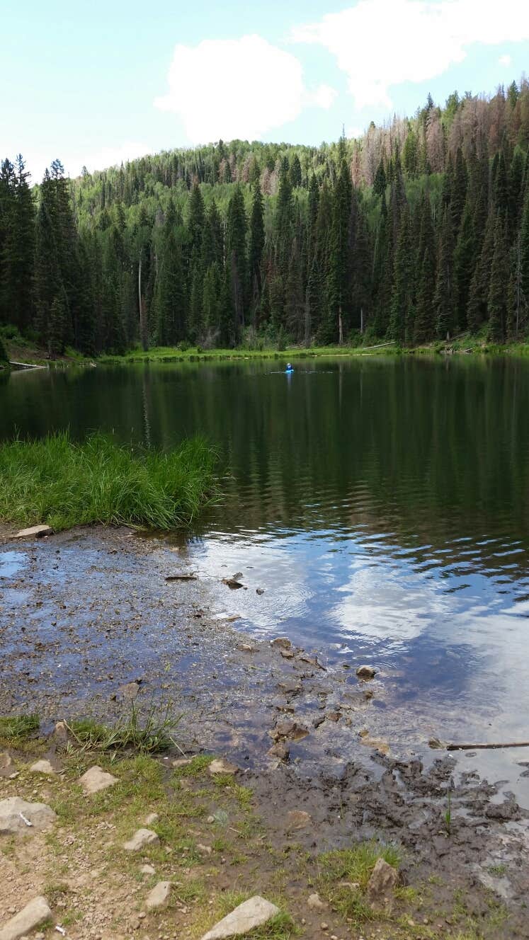 Oowah Campground | The Dyrt