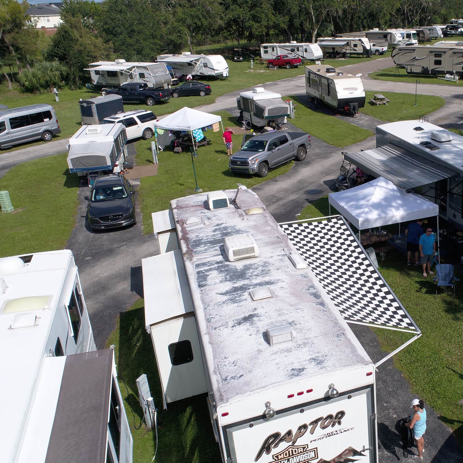 Encore Tropical Palms Camping | The Dyrt