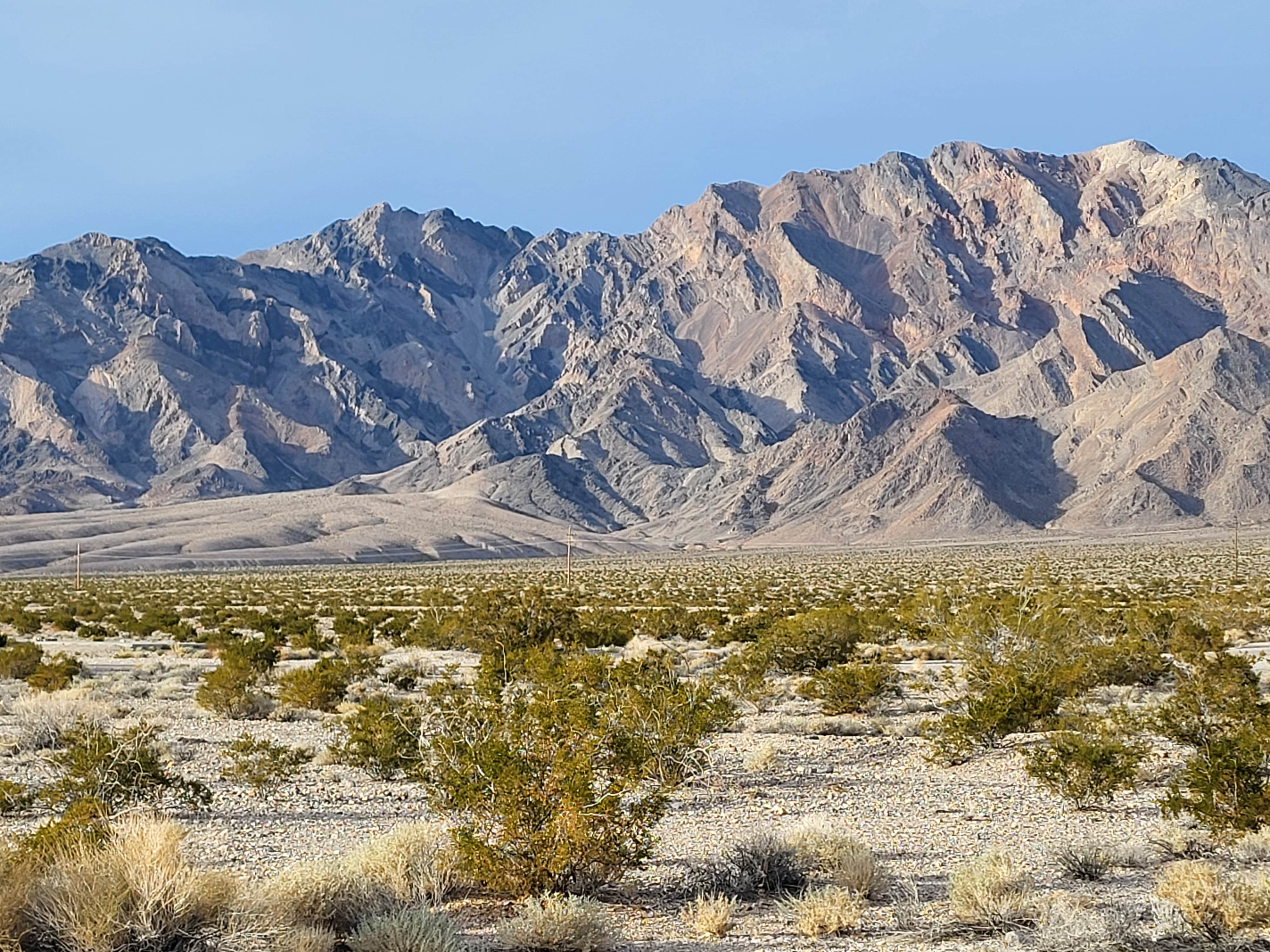 Desert Campsite The Pads | Pahrump, NV