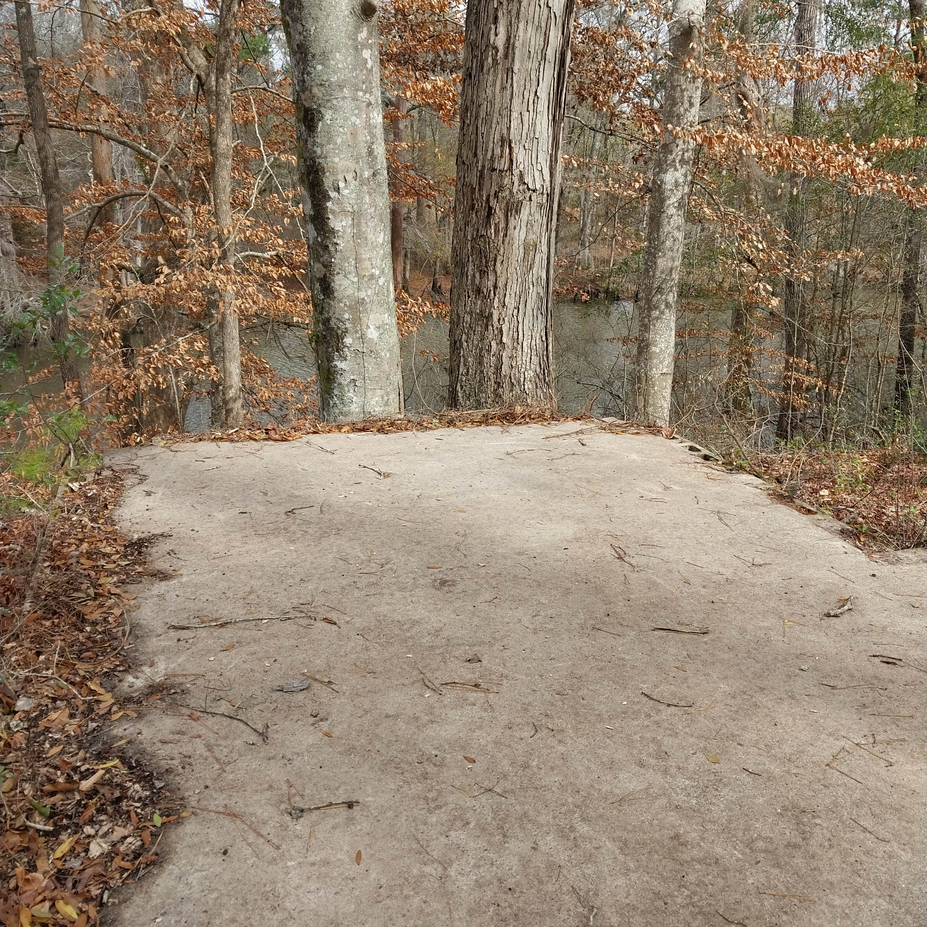 Coleman Lake Campground | Louisville, Georgia