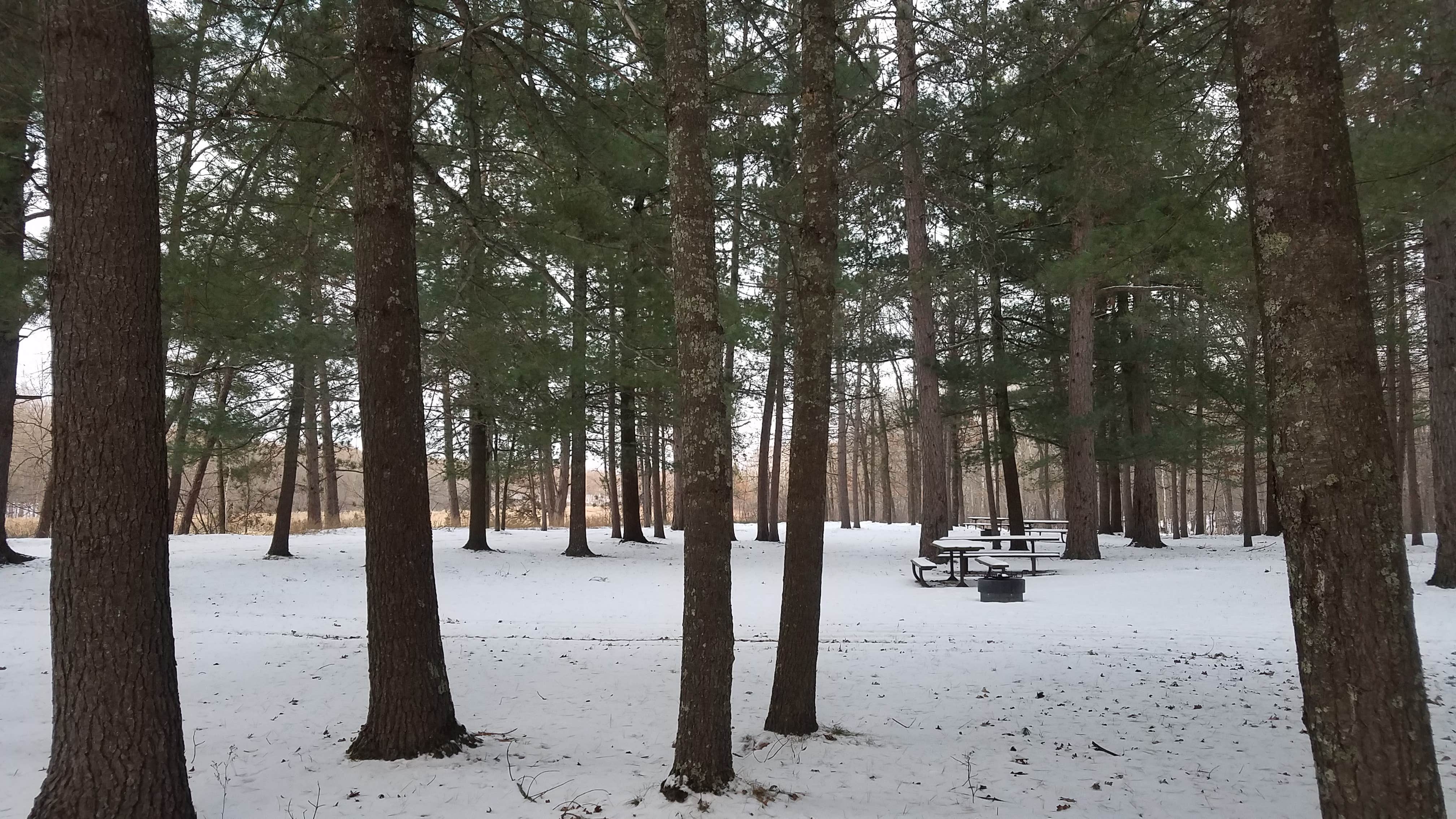 Shell City Landing Camping | Menahga, MN