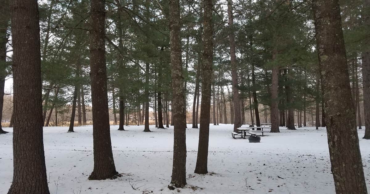 Shell City Landing Camping | Horton, Minnesota