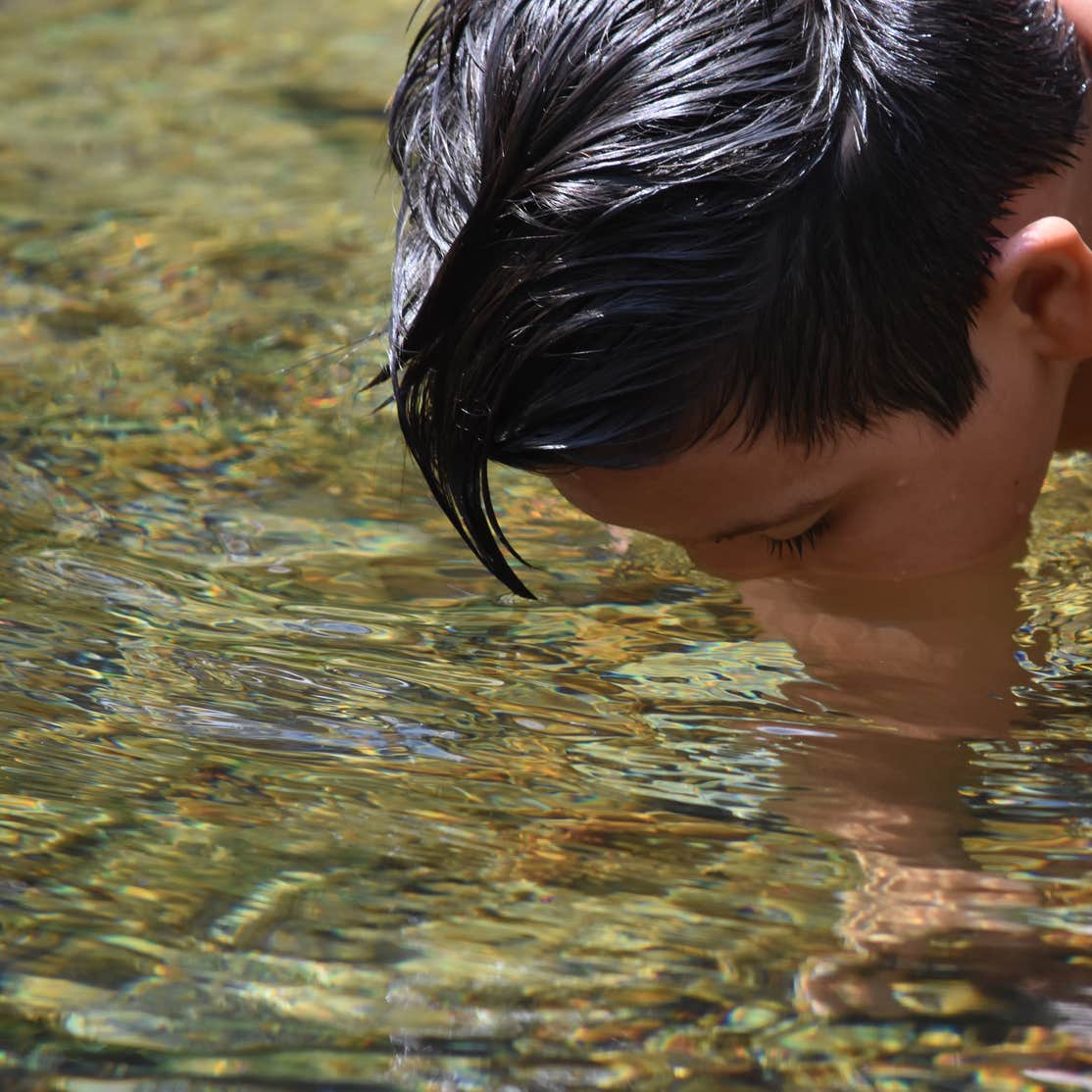 Sample Meadow Campground | Lakeshore, California