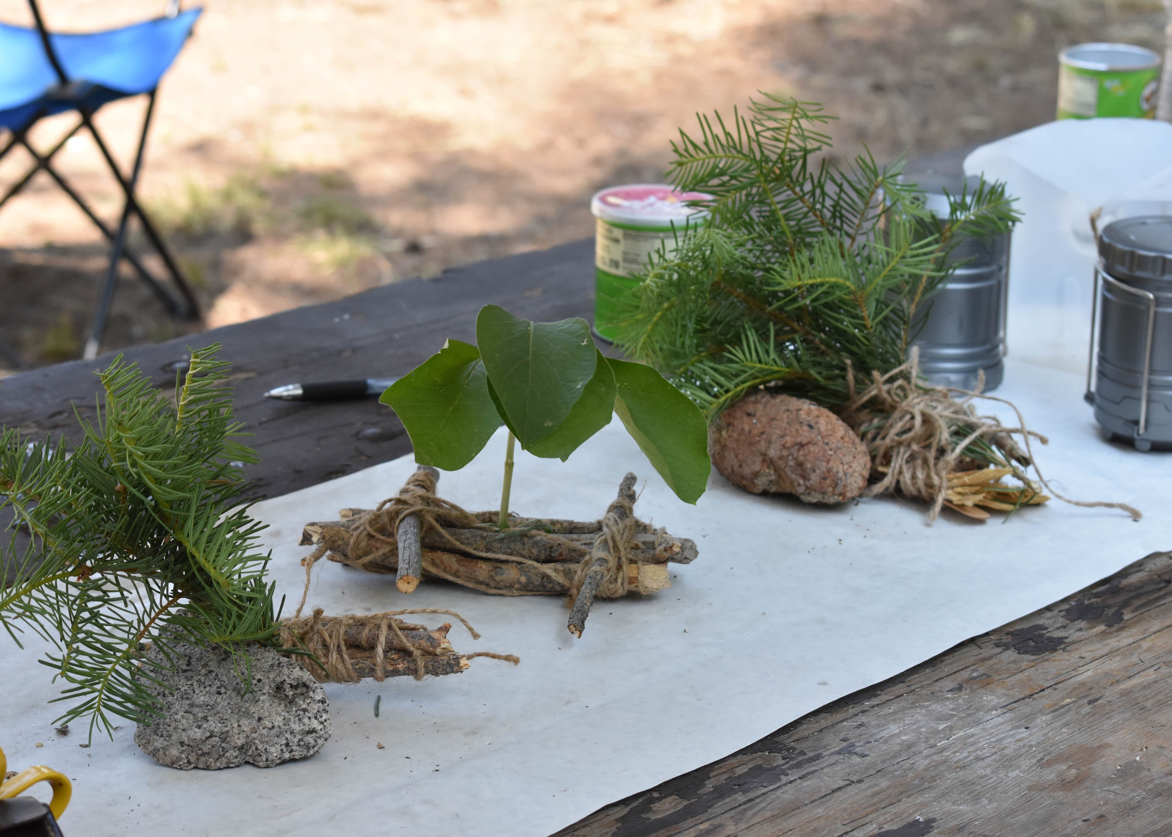 Sample Meadow Campground Camping | The Dyrt