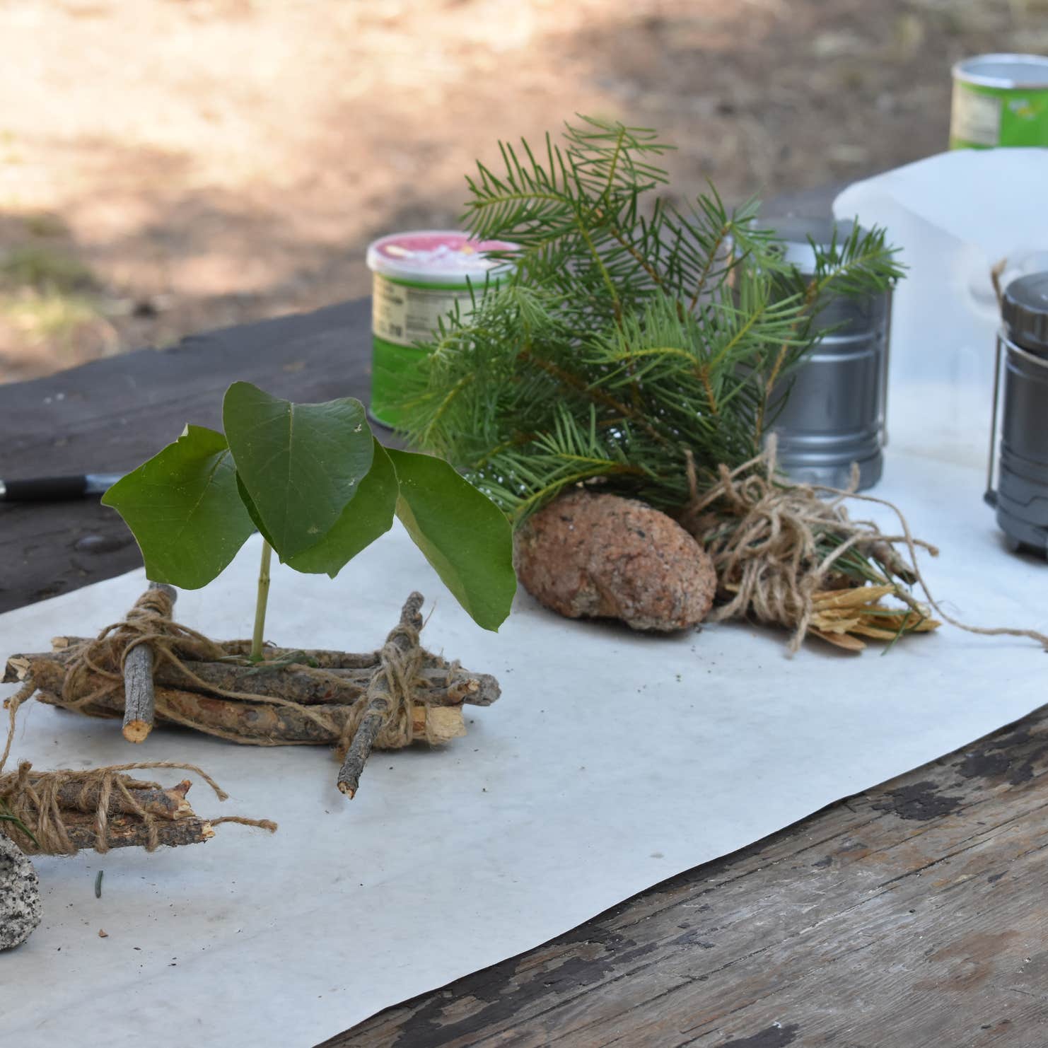Sample Meadow Campground | Lakeshore, California