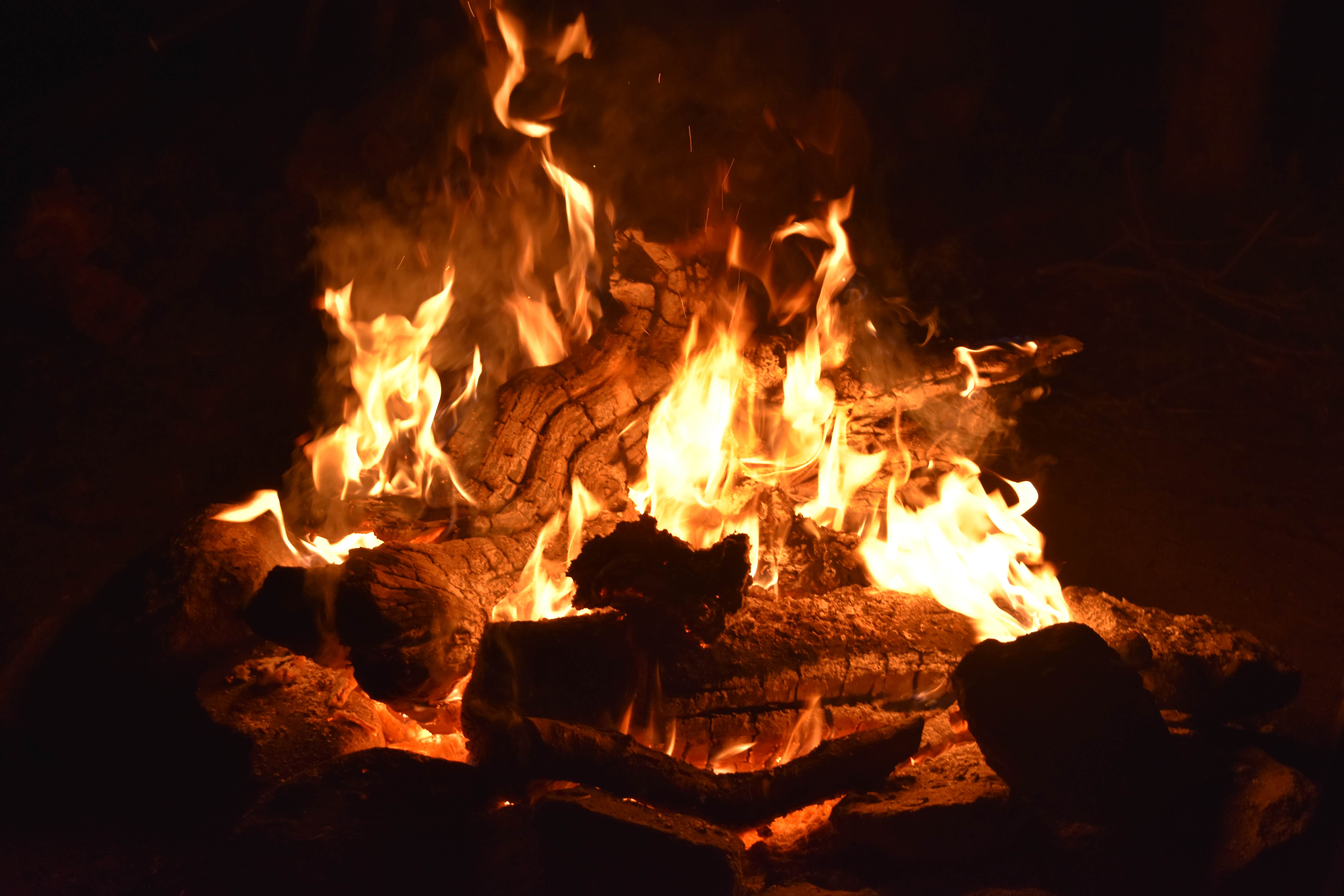 Sample Meadow Campground | Lakeshore, CA