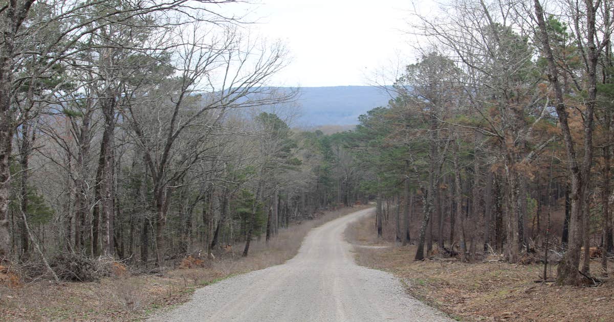 Forest Service Rd 82 Dispersed Camping | St. Paul, AR
