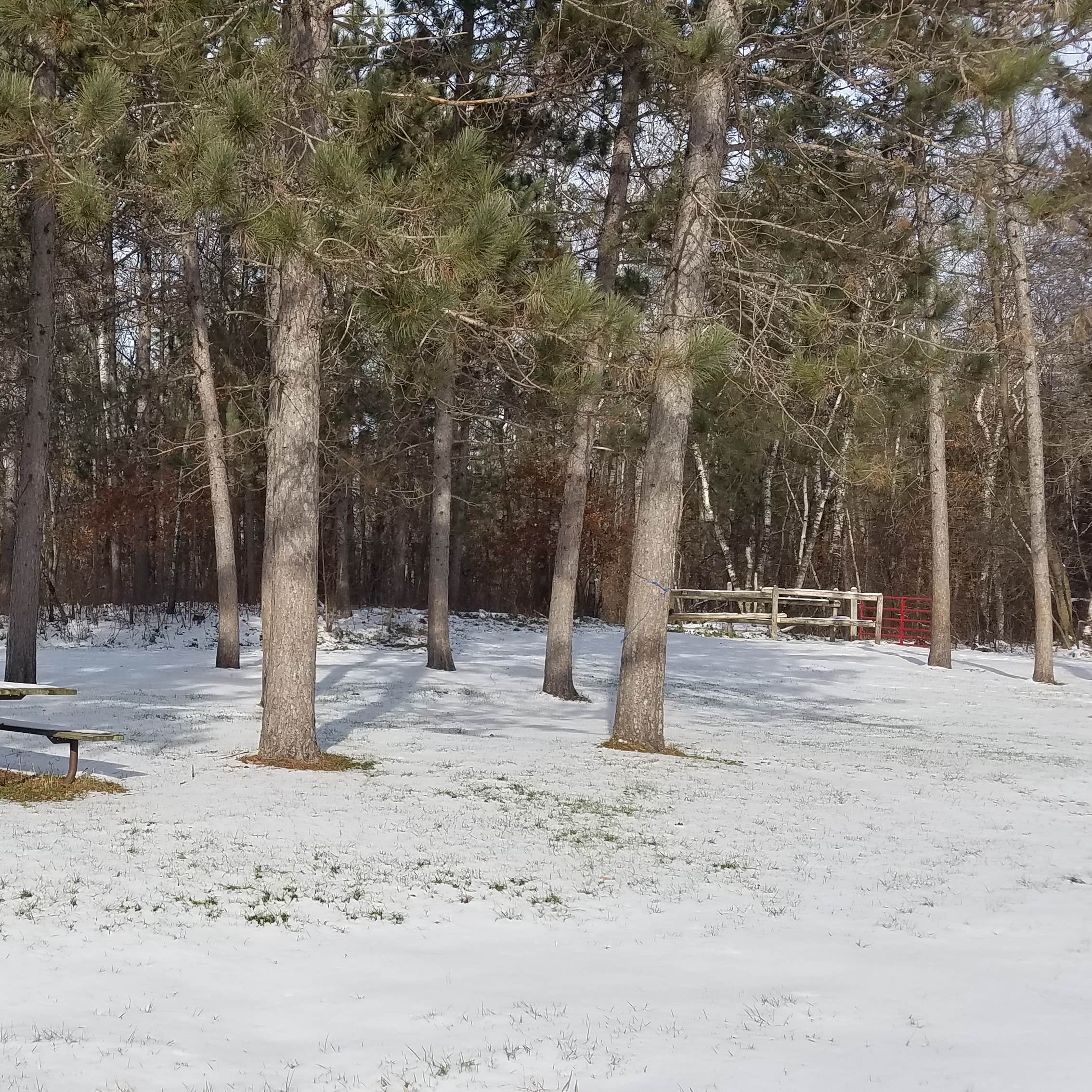 Shell City Equestrian Campground | Horton, Minnesota