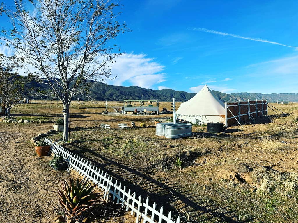 Cuyama Oaks Ranch Camping | New Cuyama, CA