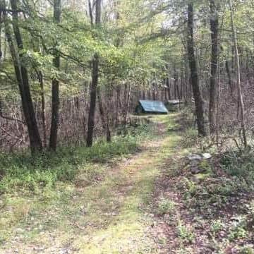 Pine Grove Furnace State Park Camping | The Dyrt