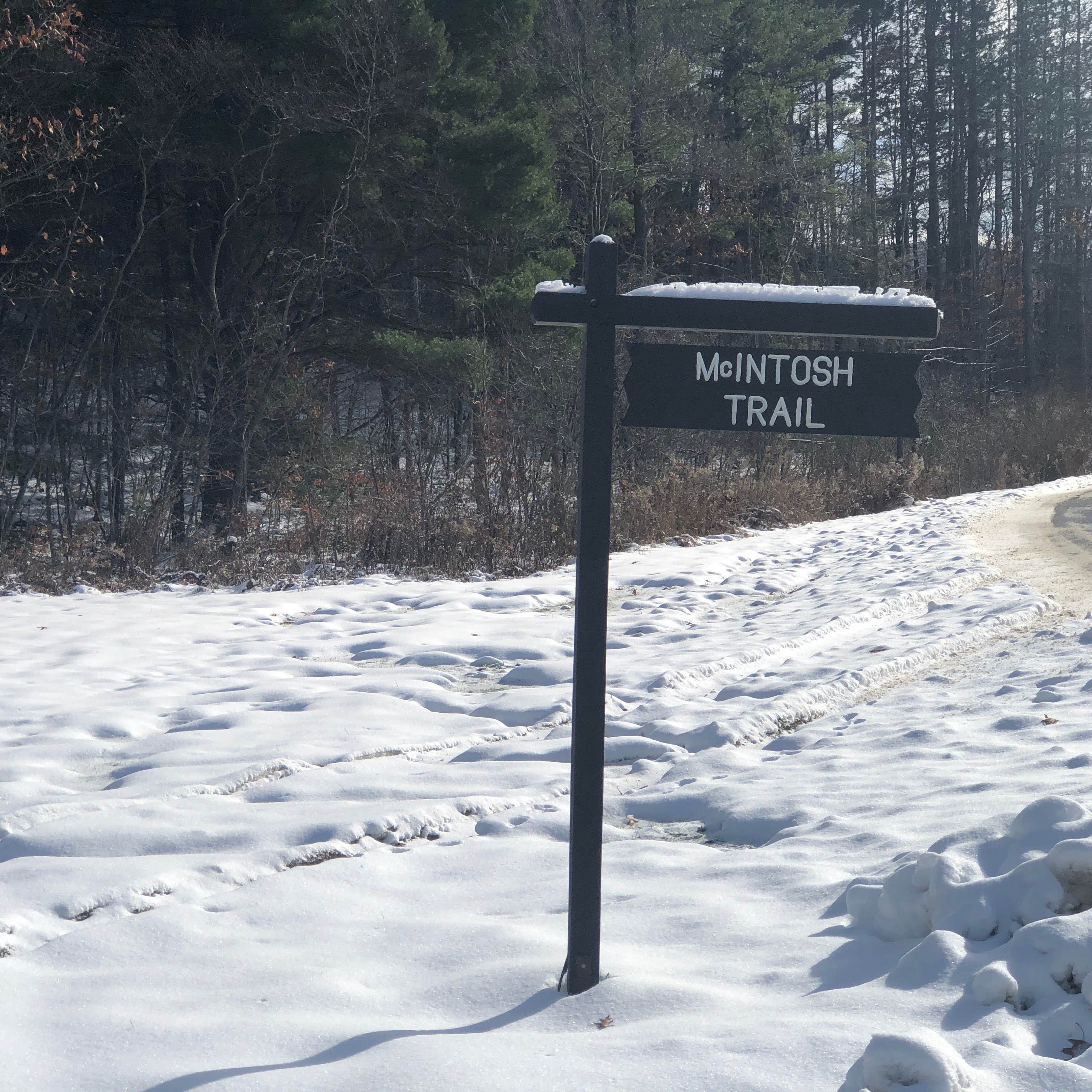 Allegany State Park - Red House Area Camping | The Dyrt