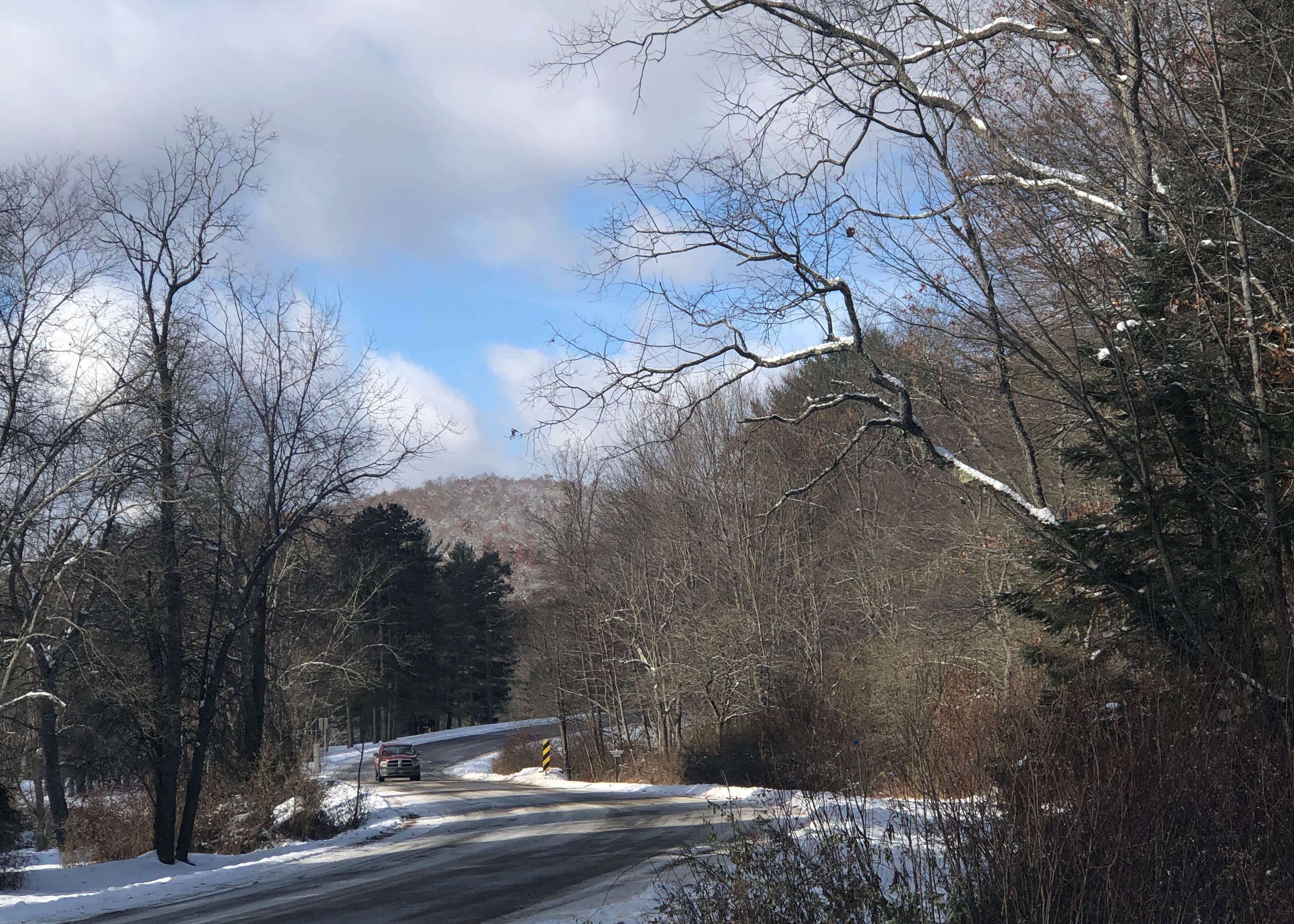 Allegany State Park - Red House Area Camping | The Dyrt