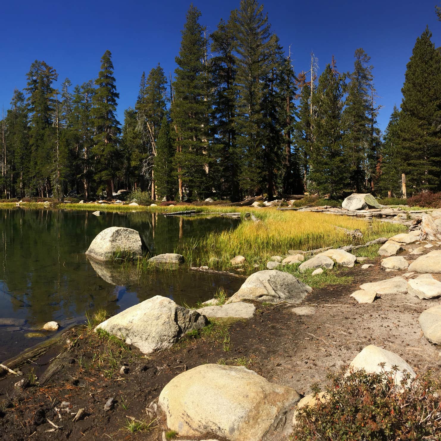 Weaver Lake Trail Campsites Camping | The Dyrt