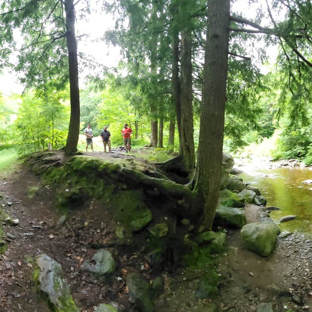 Downed Bridge Camp | Danby, VT