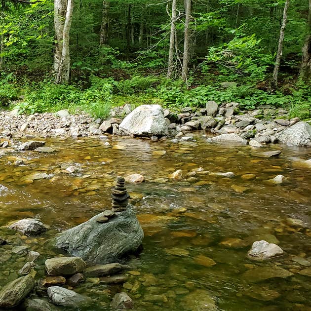 Downed Bridge Camp | Danby, VT