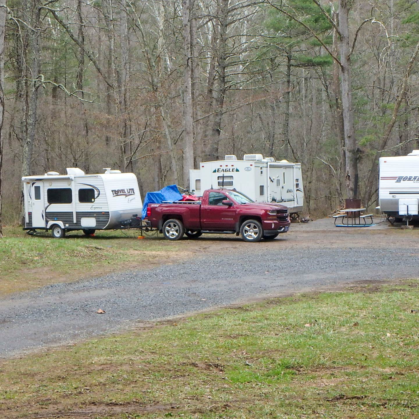 Oronoco Campground Camping | The Dyrt