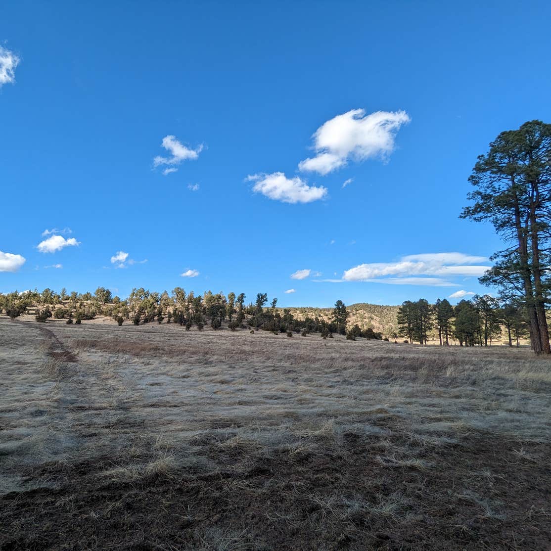 Comfort Well Dispersed Camping | Hanover, New Mexico