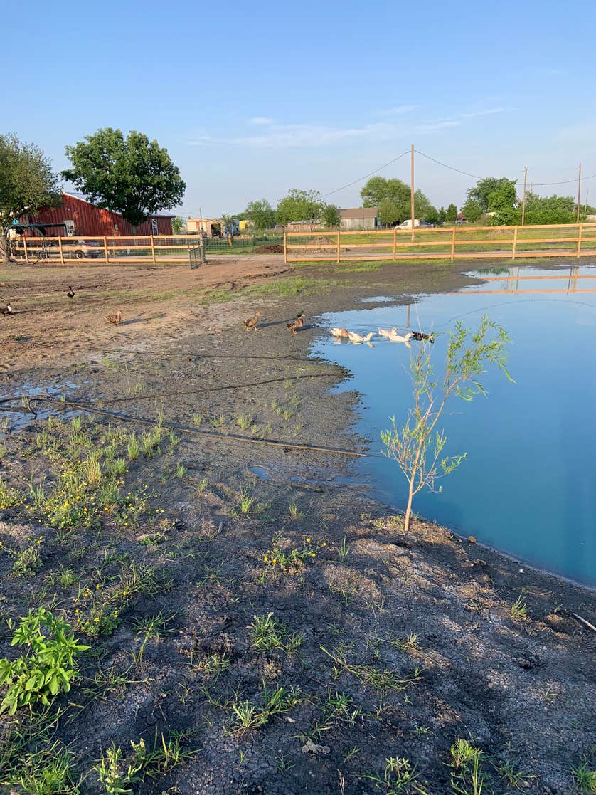 Bella Hampton Farm Foundation Camping | Mabank, Texas