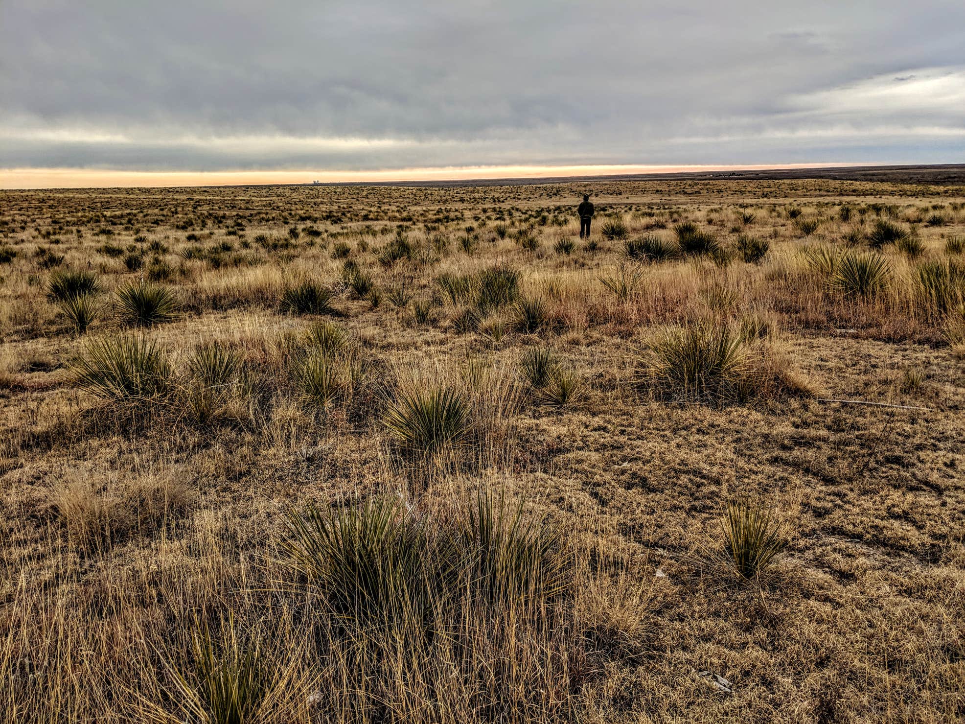 Cimarron Campground - Cimarron National Grassland Camping | The Dyrt