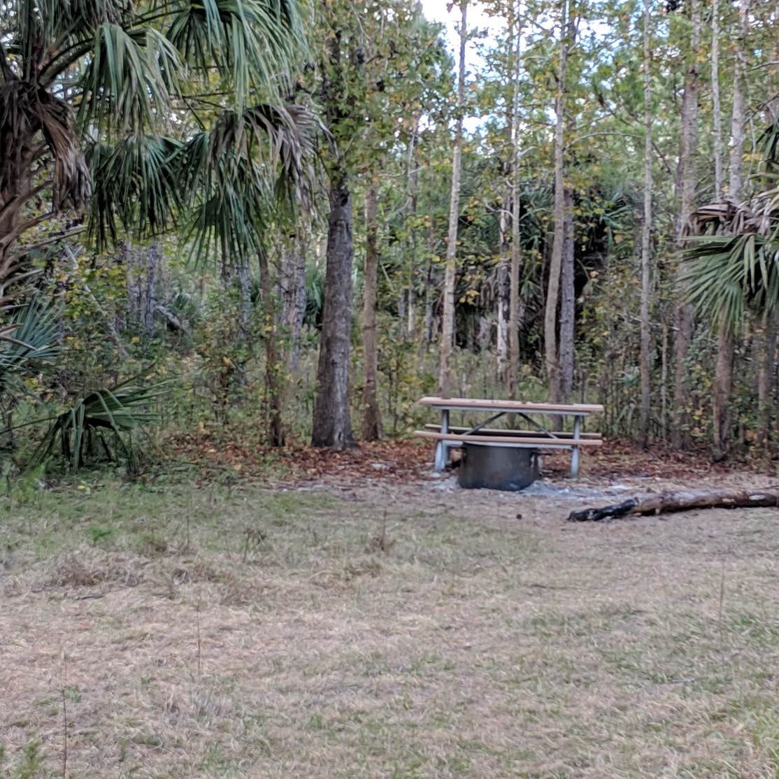 East Camp — Little Big Econ State Forest | Oviedo, Florida