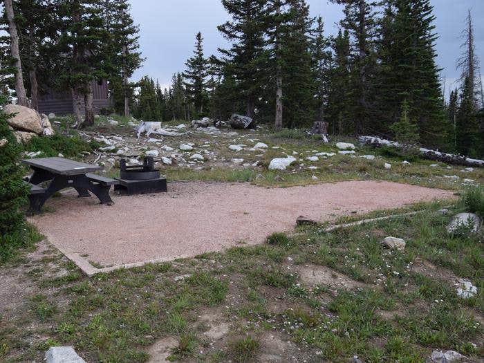 Sugarloaf Campground | Centennial, WY