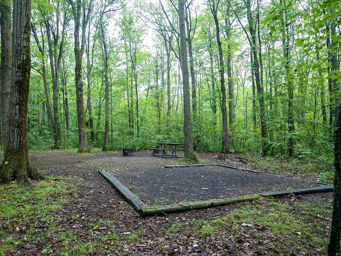 Blueberry Patch Campground — Green Mountain & Finger Lakes National Forests | Hector, NY