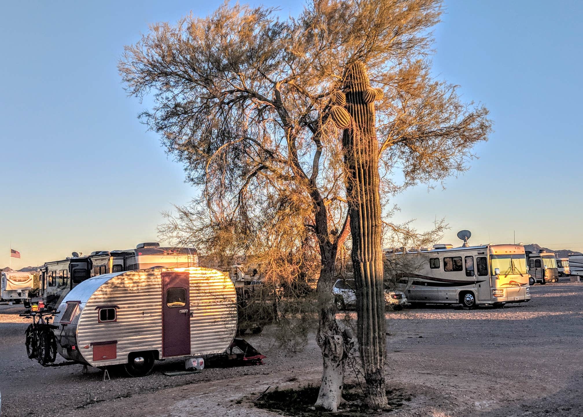 Rice Ranch RV Park Camping | The Dyrt