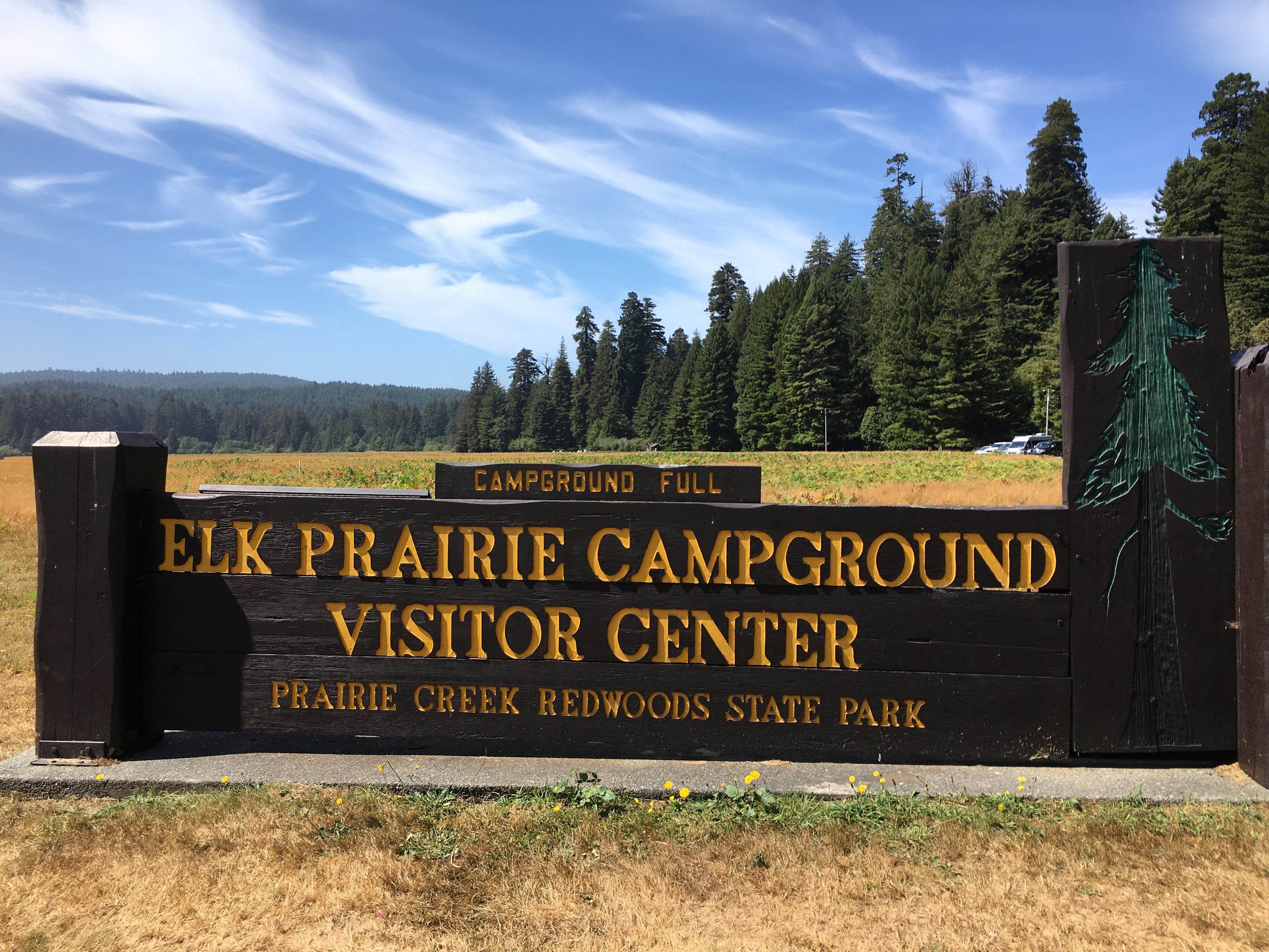 Elk Prairie Campground — Prairie Creek Redwoods State Park | Orick ...