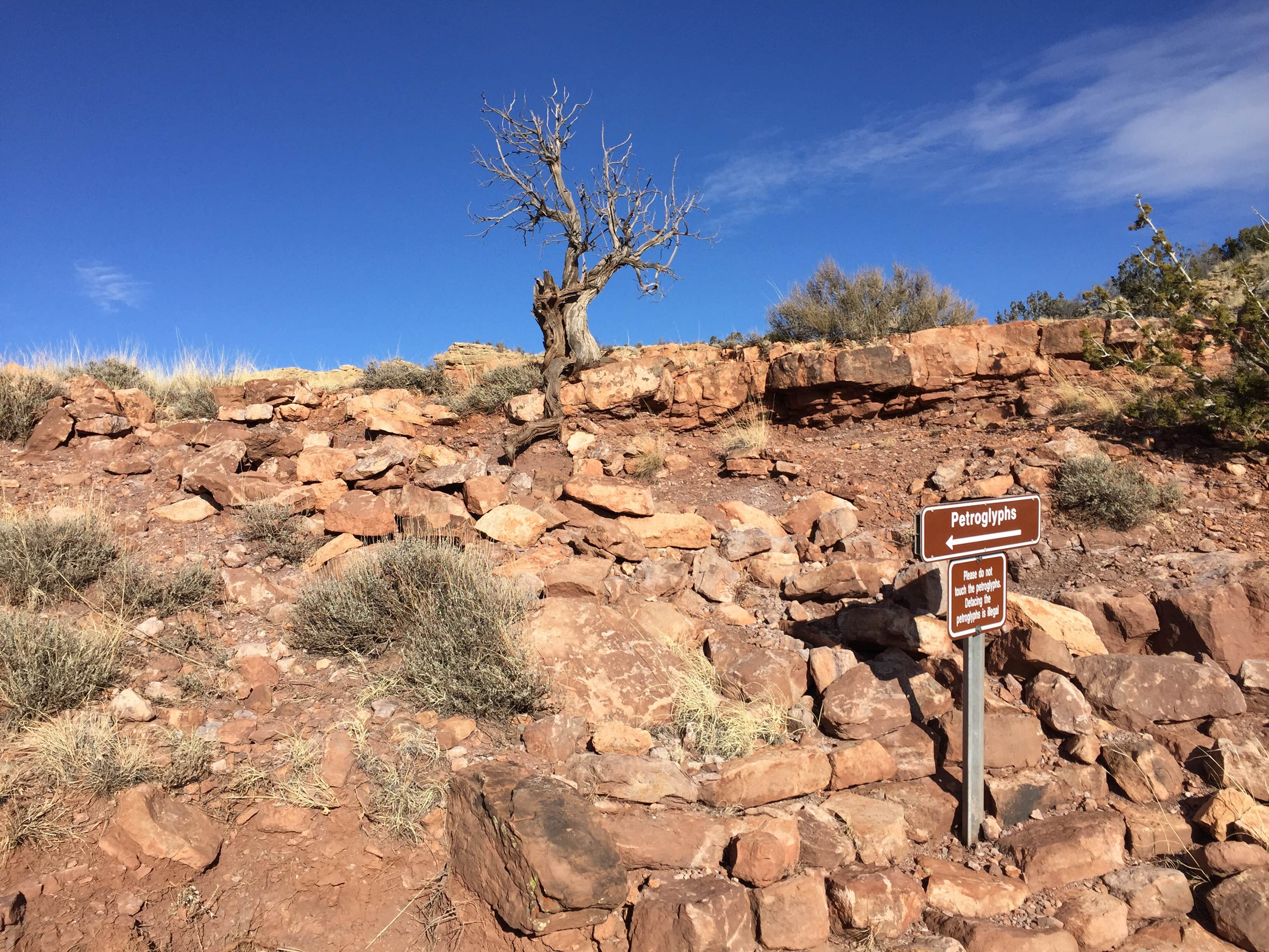 Lyman Lake State Park Campground | St. Johns, Arizona