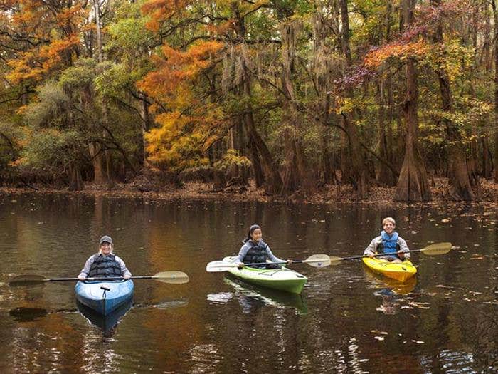 THE 10+ BEST Campgrounds near Columbia, SC