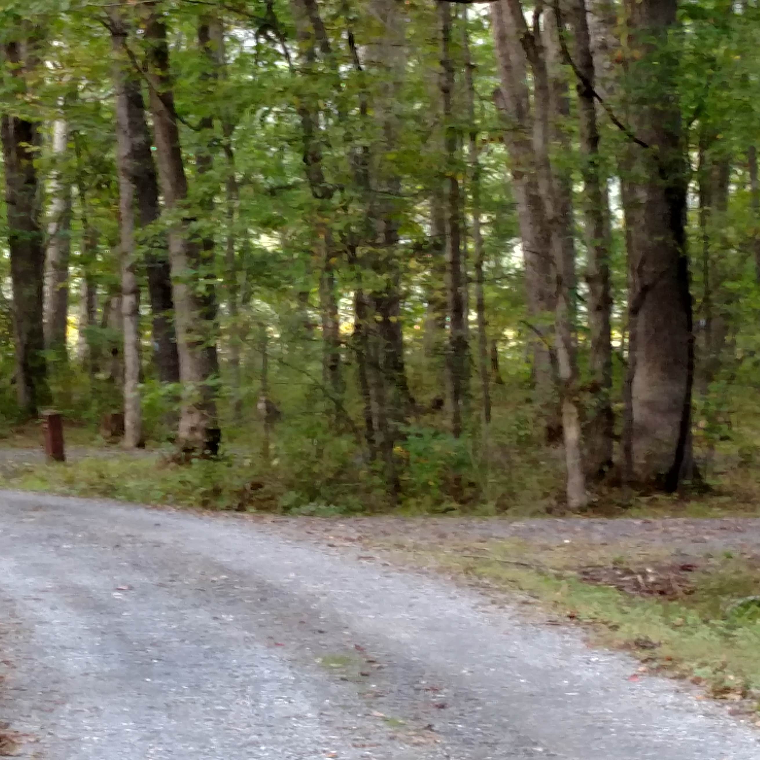 Hidden Valley Camping | The Dyrt