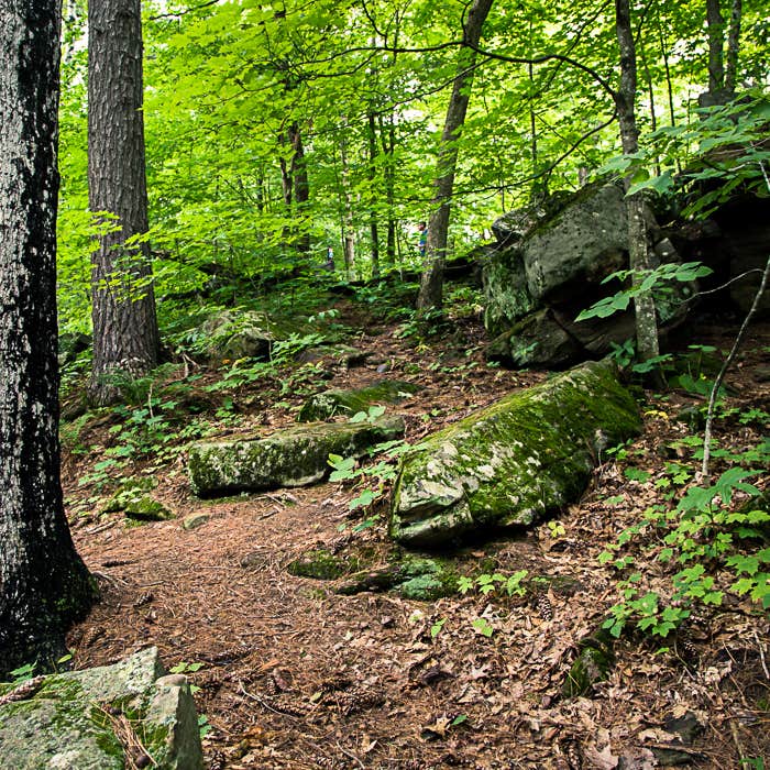 Cox Hollow - Governor Dodge State Park Camping | The Dyrt