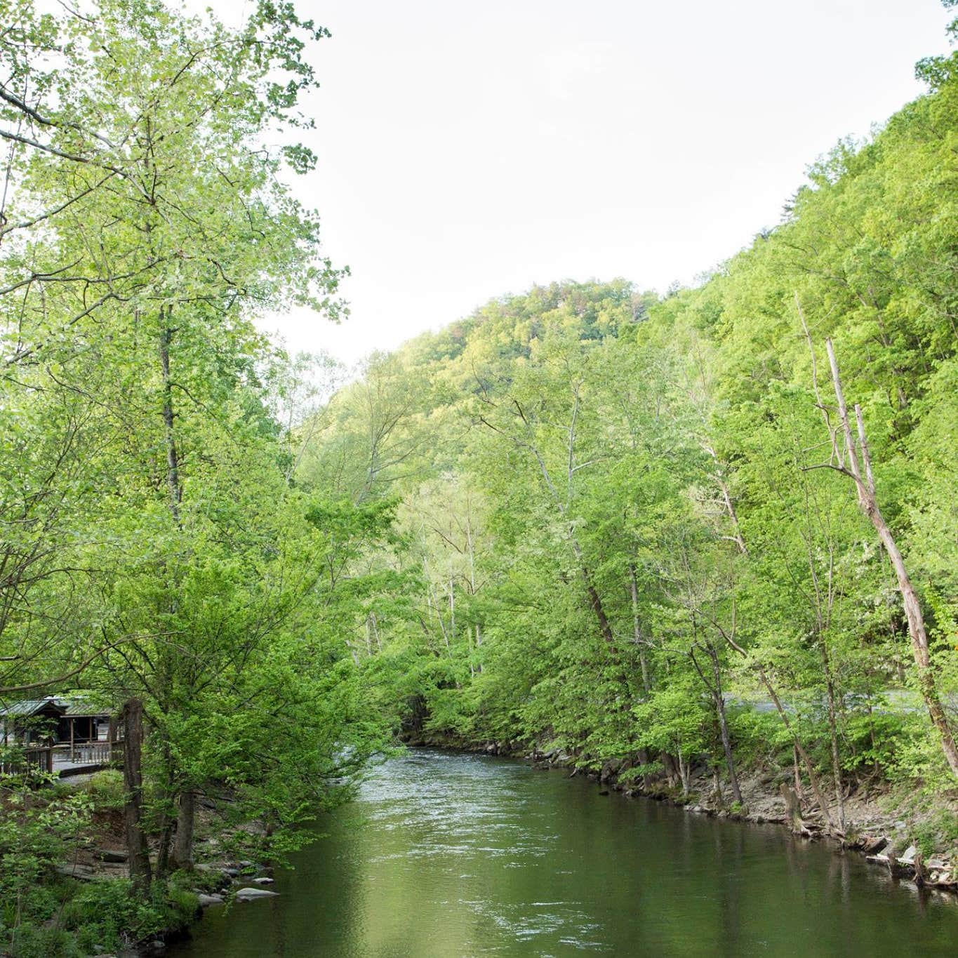 Little Arrow Outdoor Resort Camping | The Dyrt