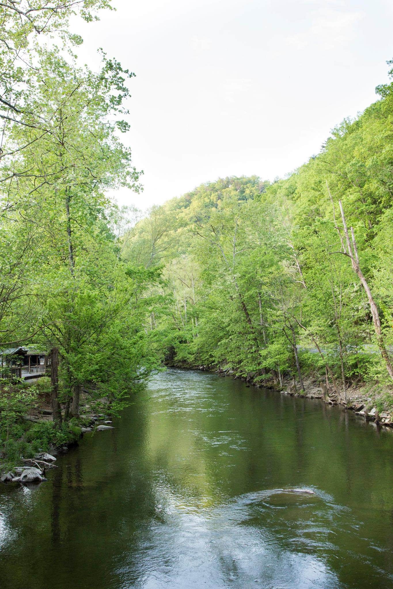 Little Arrow Outdoor Resort Camping | Townsend, TN