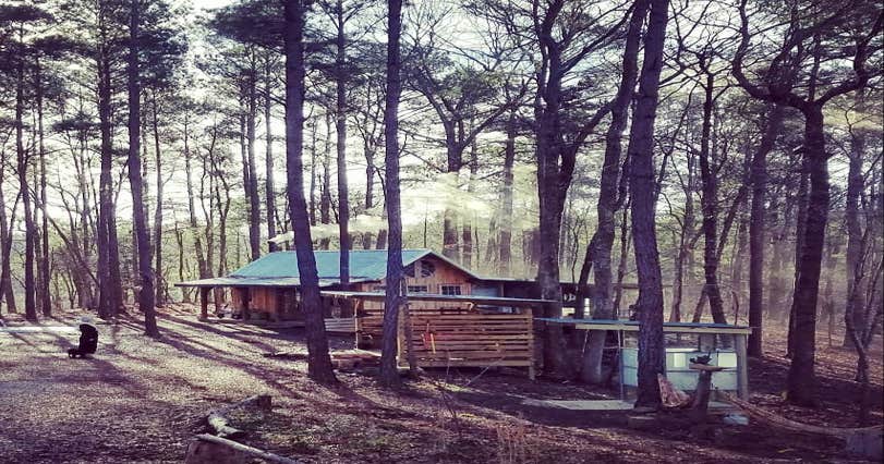 Camper-Submitted Photos of Parksland Retreat