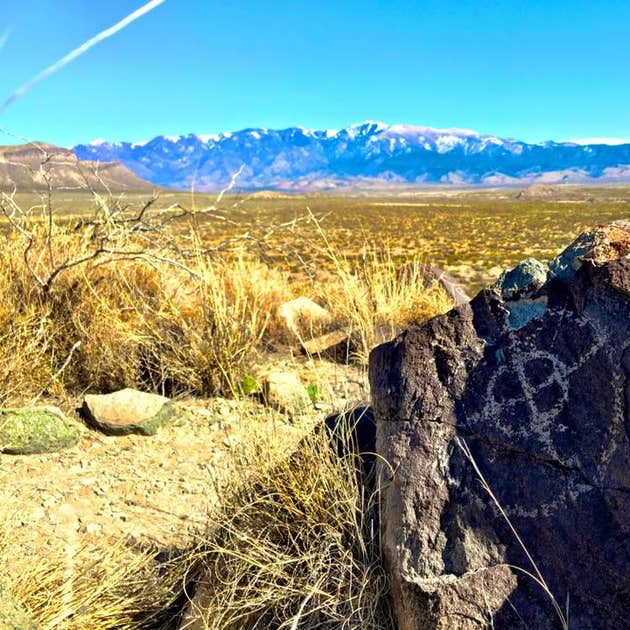 Three Rivers Petroglyph Site Camping | The Dyrt